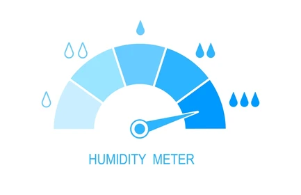 Best Thermometer for Humidity: Guide to Accurate Readings