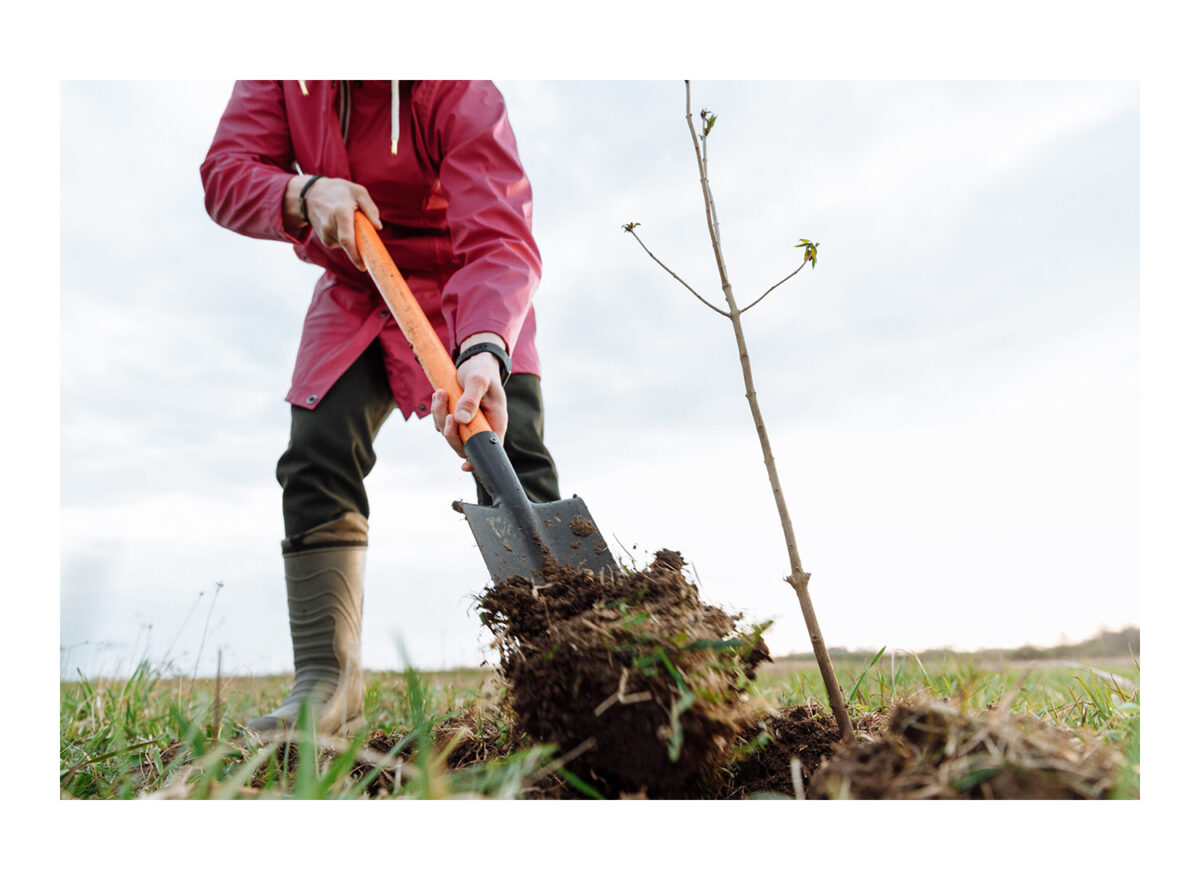 Digging with Shovel: Techniques for Efficient Excavation