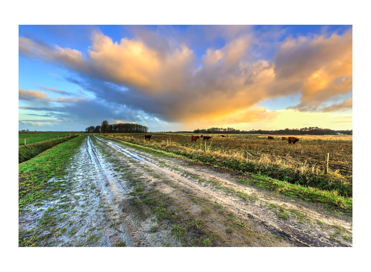 Penetrometer Cone: Guide to Understanding Soil Testing