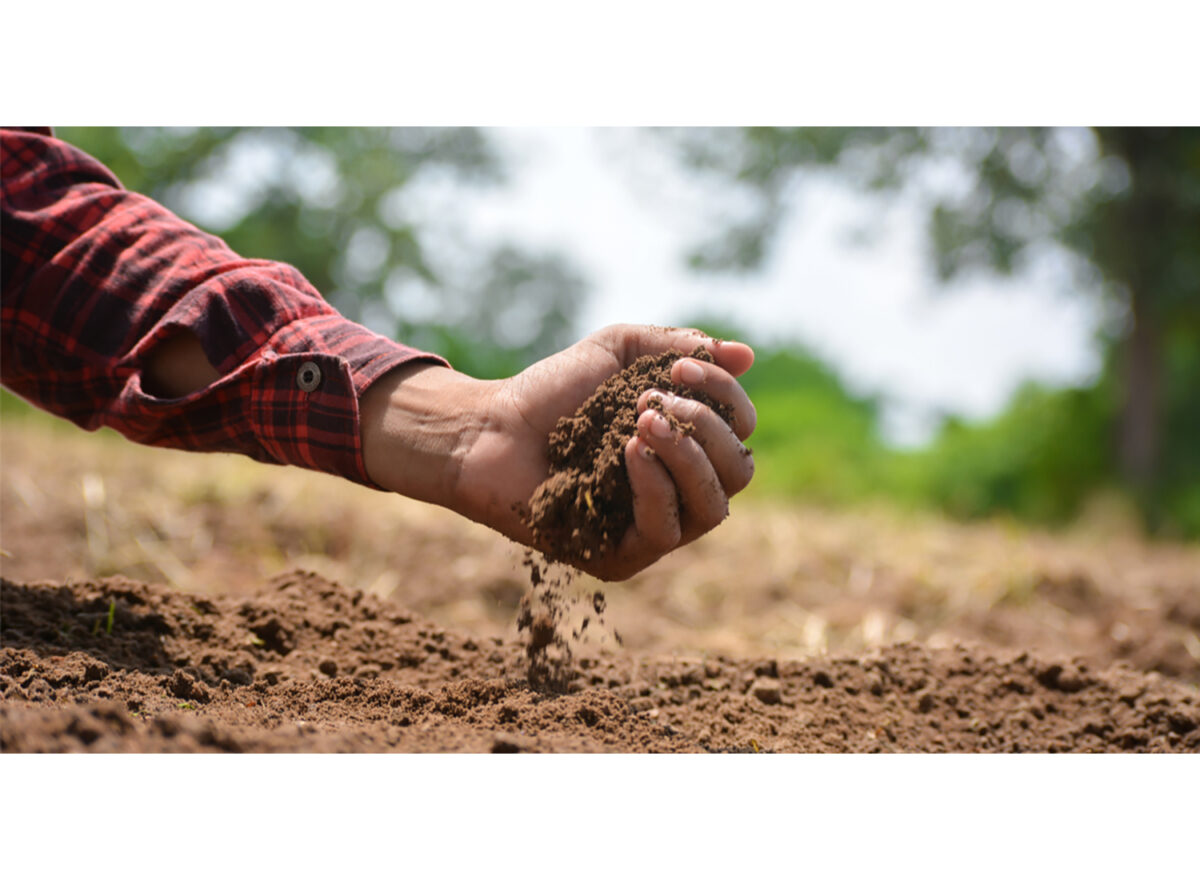 Soil Moisture Testing: Methods and Tools to Measure