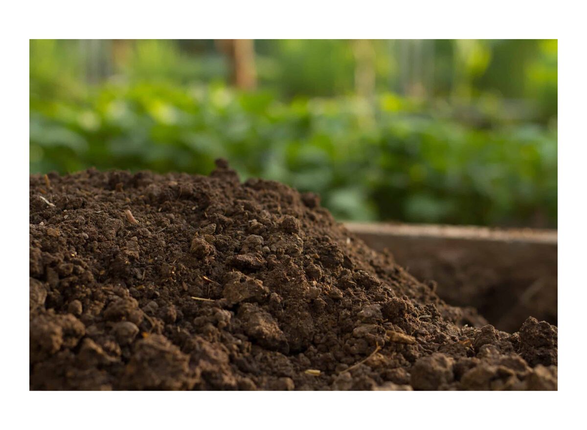 Soil Penetrometer: Understanding Soil Compaction