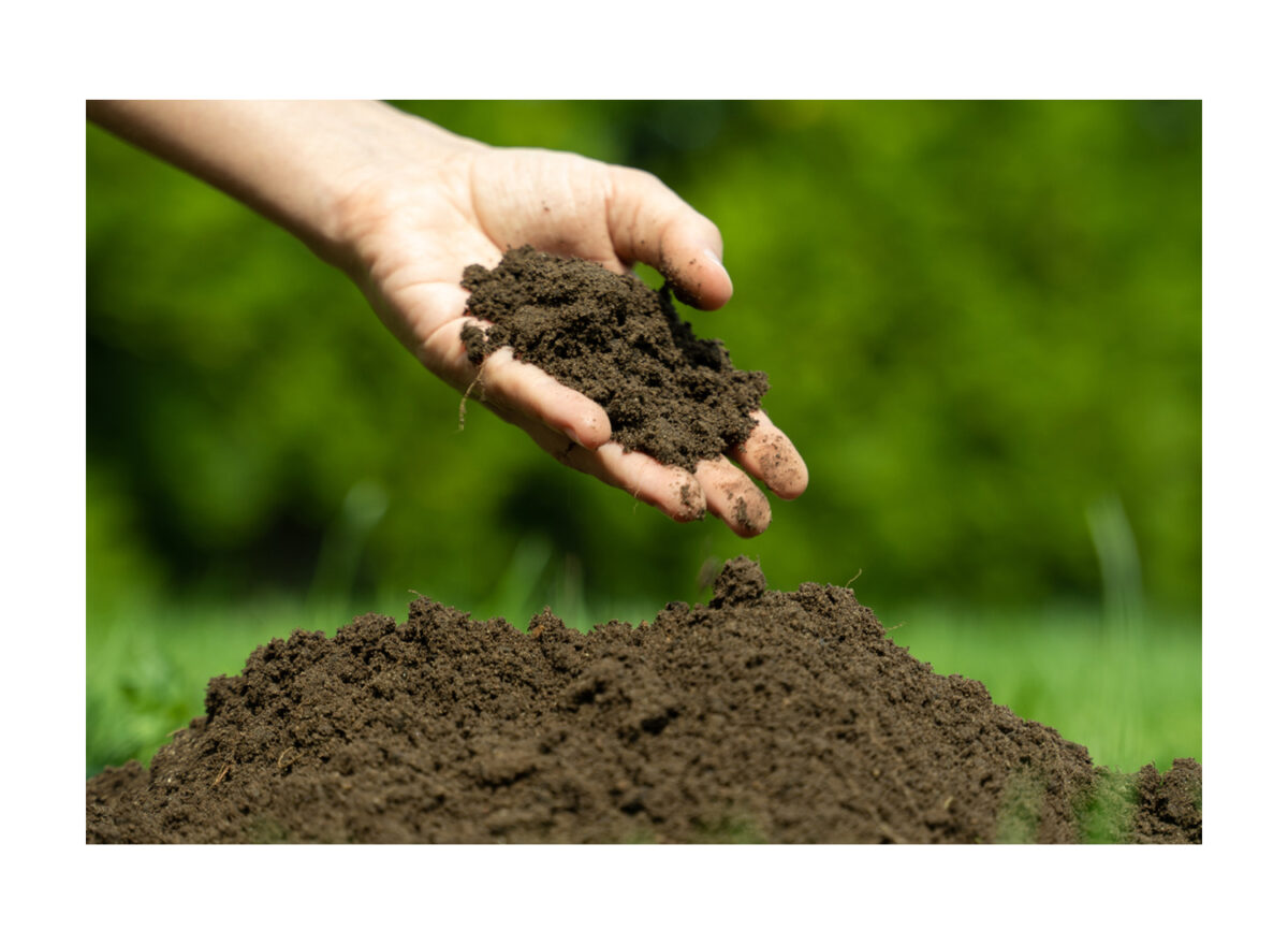 Which Type of Soil is the Most Permeable?