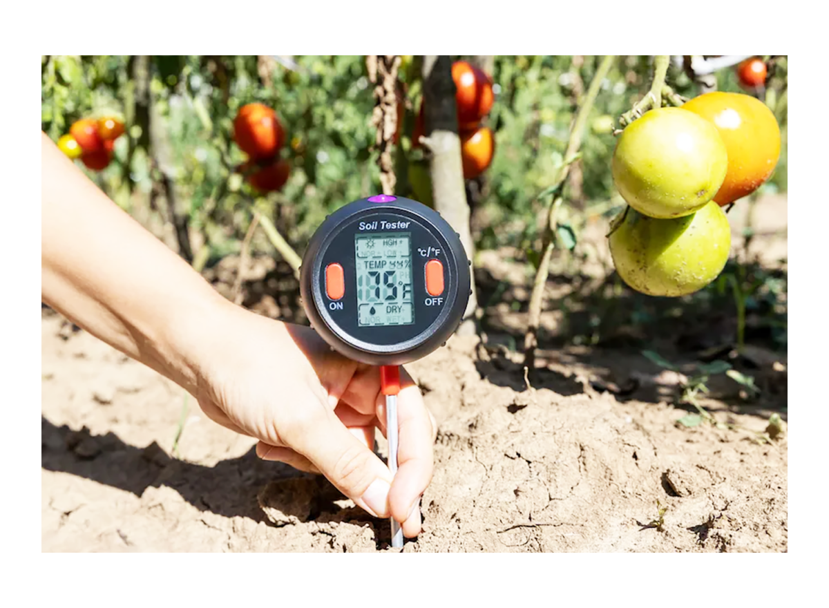 How To Measure Soil Temperature For A Successful Garden