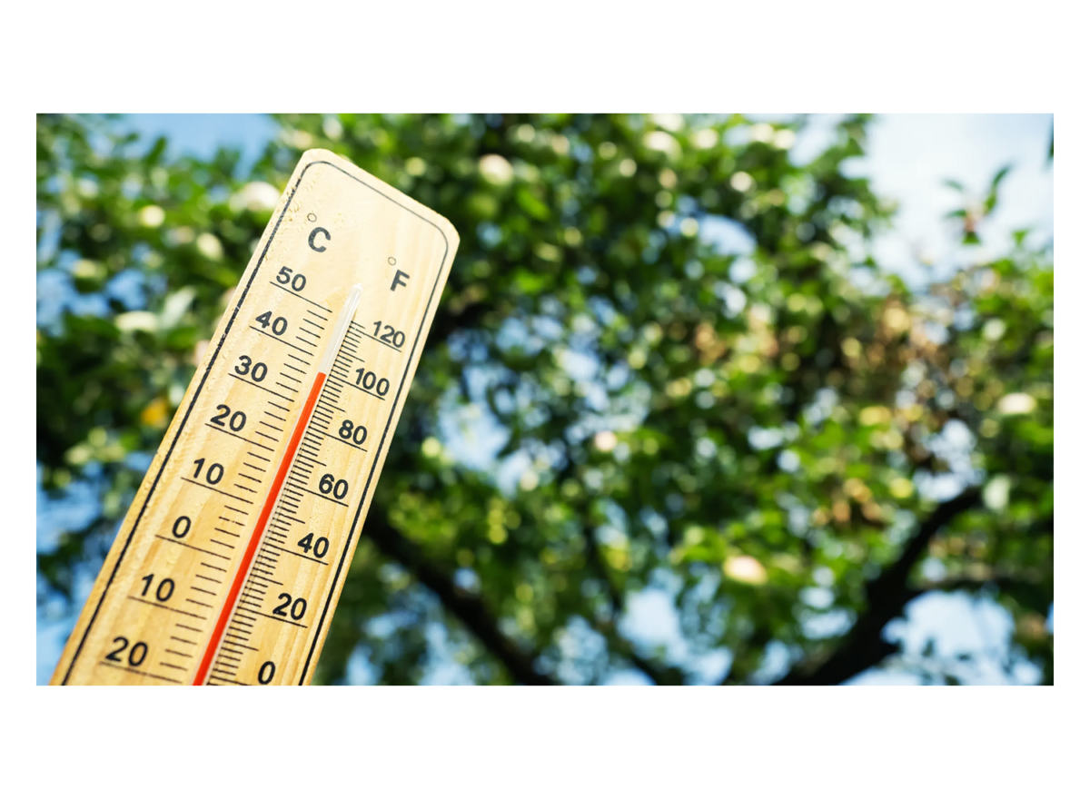 Outdoor Waterproof Thermometer for Temperature Monitoring