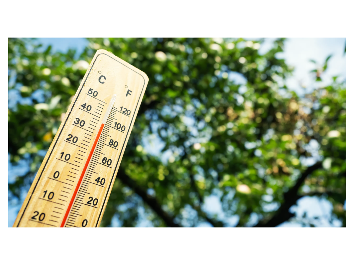 Outdoor Weather Thermometer